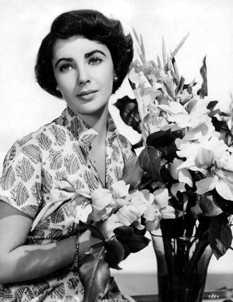 Hollywood Legends and Flowers - Starlets with Stargazers