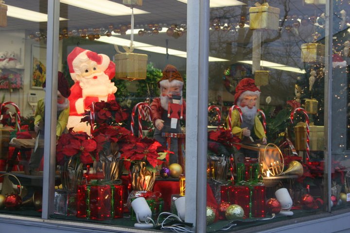 Christmas Display Windows for Florists