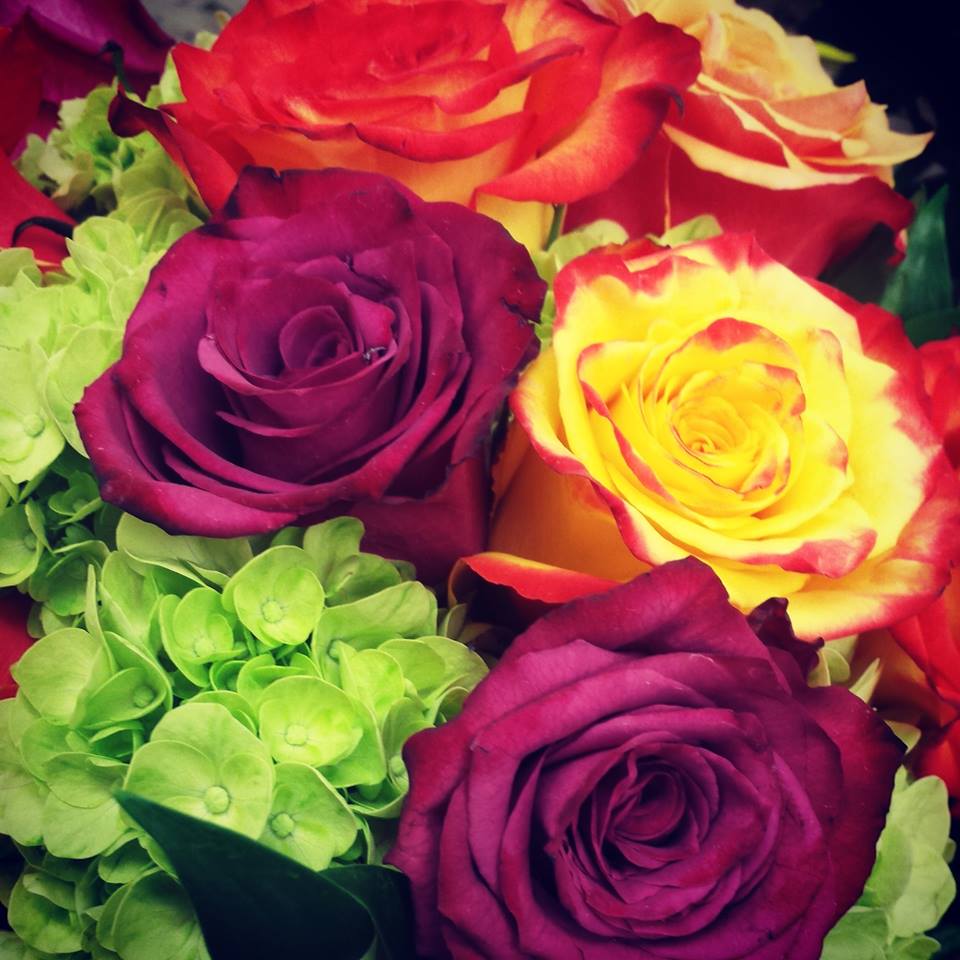 Exotic Flowers - Flower Delivery Today in Boston - Blog | Exotic Flowers