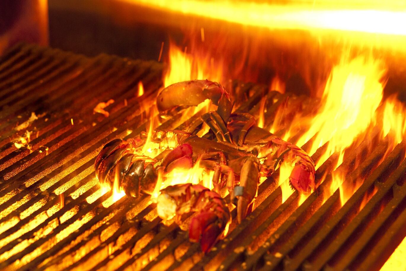 Romantic Reservations - Valentines Day Restaurants in Boston