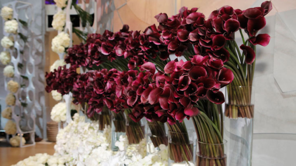 Exotic Flowers - Flower Delivery Today in Boston - Blog | Wedding Flowers