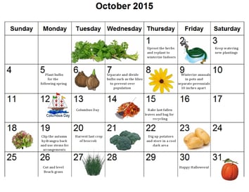 October Gardening Calendar