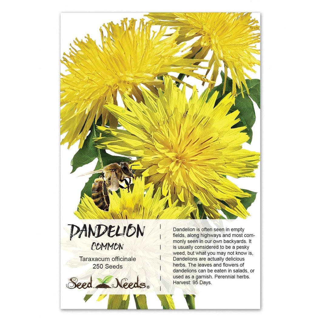 The Dandelion Craze