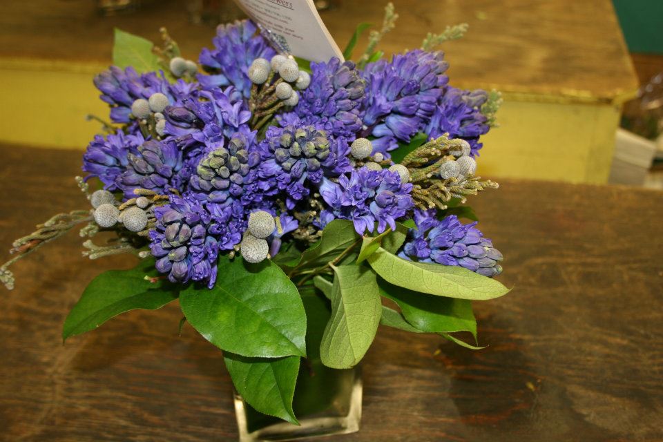 The Symbolic Meaning of the Hyacinth