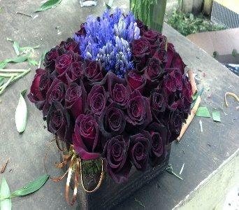 What is the Meaning of a Black Magic Rose