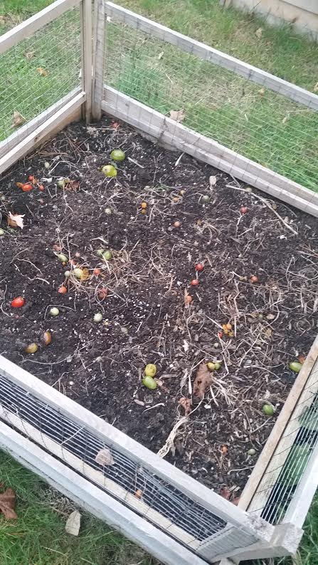Closing Your Garden for Winter