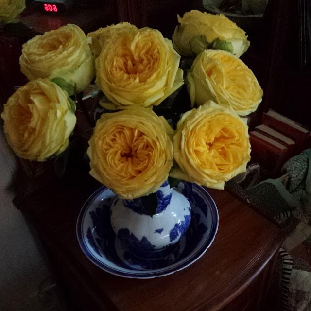 Sexy Flowers to Enhance Your Love Life